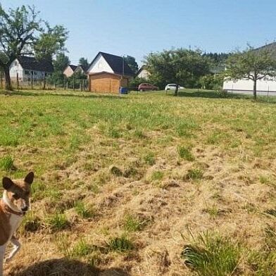 Vente terrain 1206 m² à Chavanatte-90100 (66 000 €) | LeSiteImmo