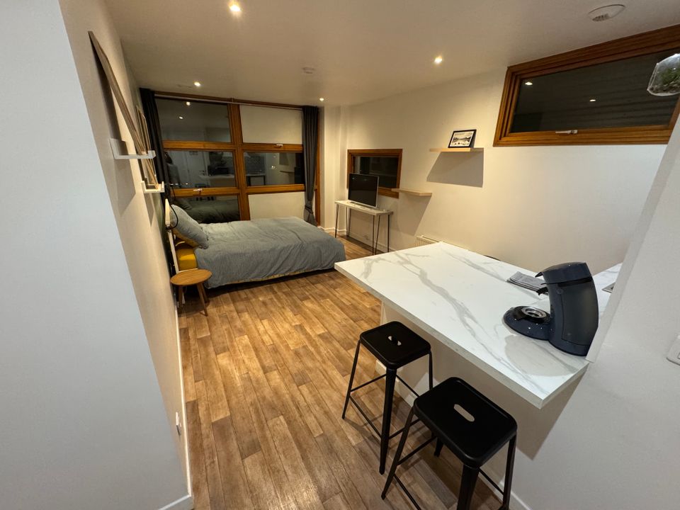 Location appartement 1 pièce 32 m² à Lille-59000 (850 €) | LeSiteImmo