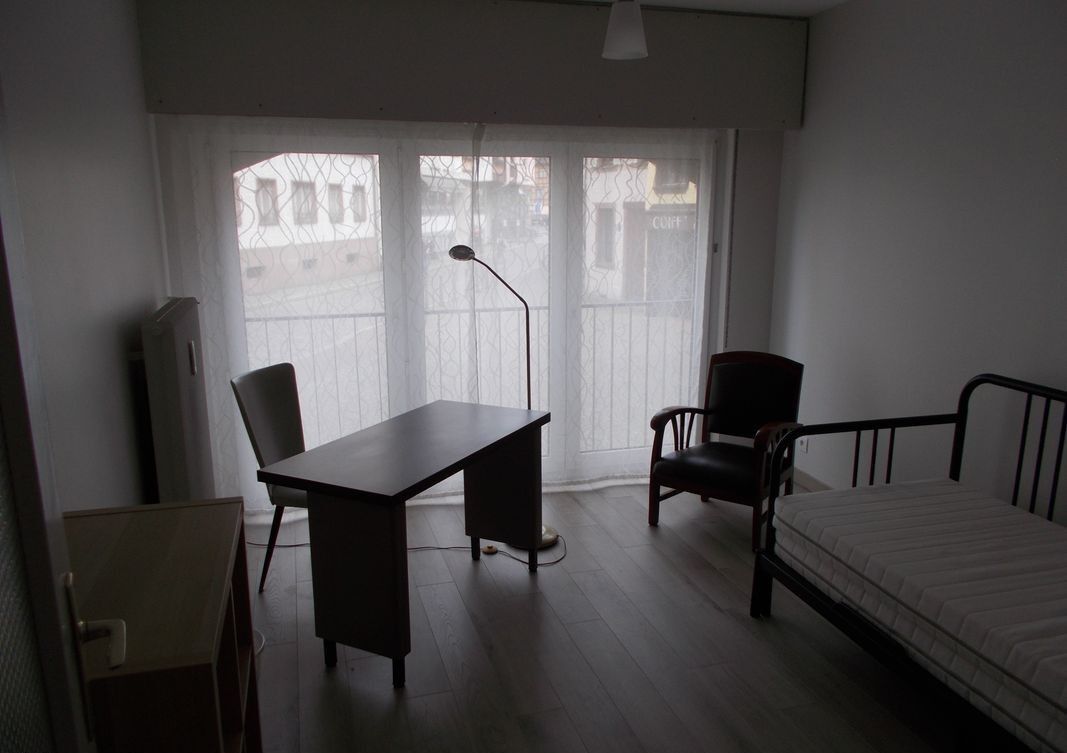 Location appartement 1 pièce 25 m² à Strasbourg-67000 (670 €) | LeSiteImmo